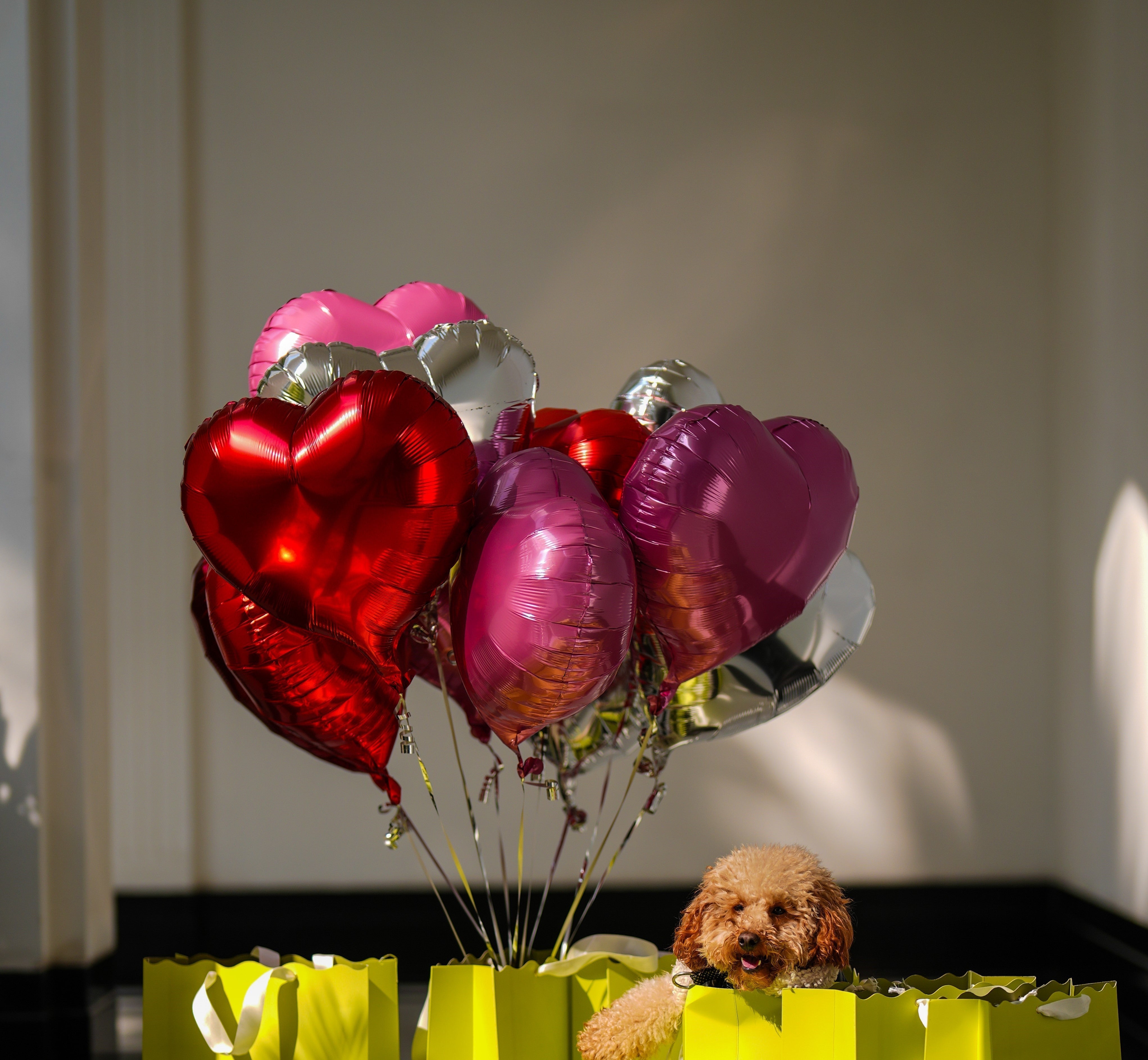 Love At First Sight – Kay Kay